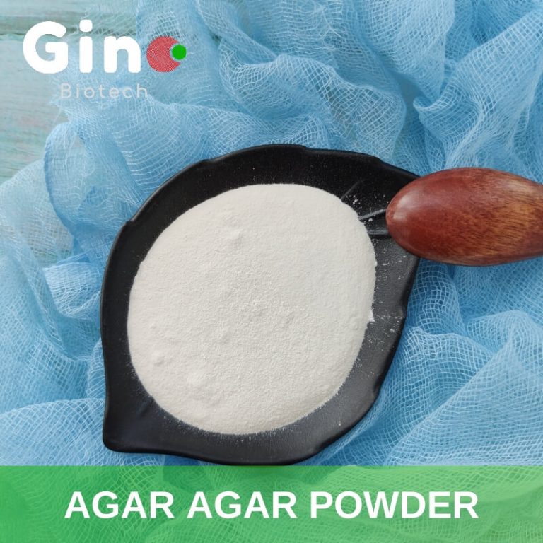 Agarose Powder | High Purified Agarose Supplier in China