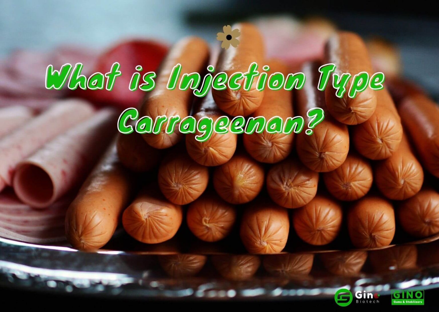 2 Common Usages of Carrageenan in Meat Products - Gino