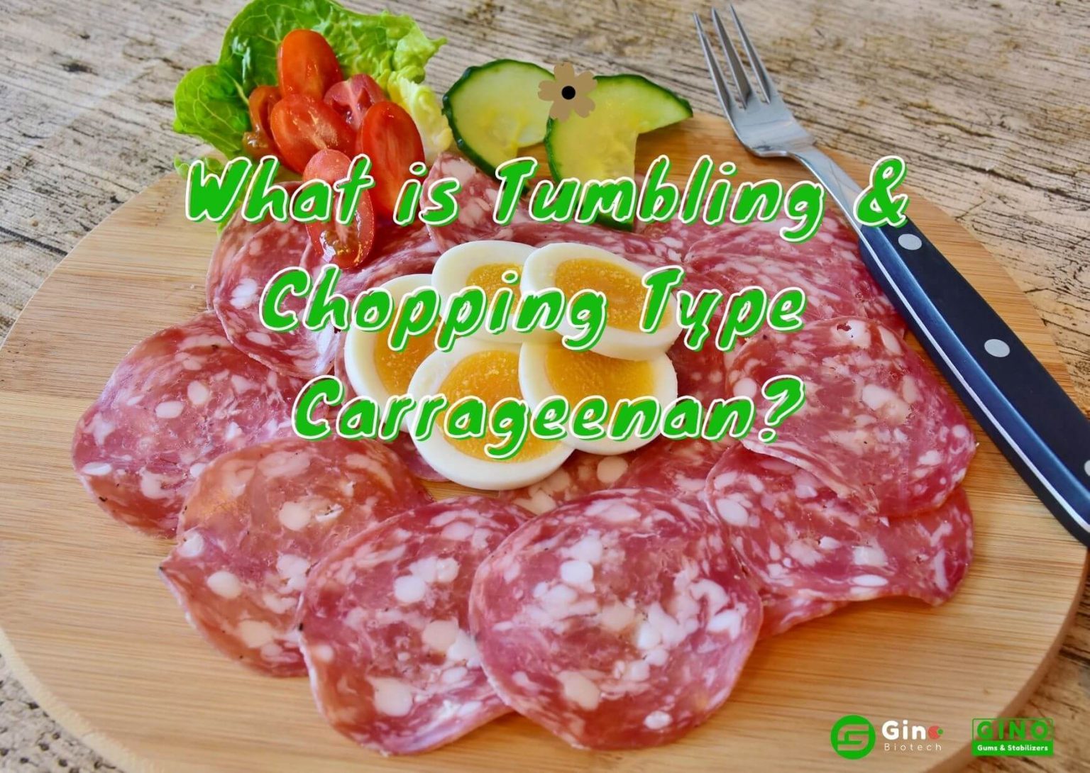2 Common Usages of Carrageenan in Meat Products - Gino