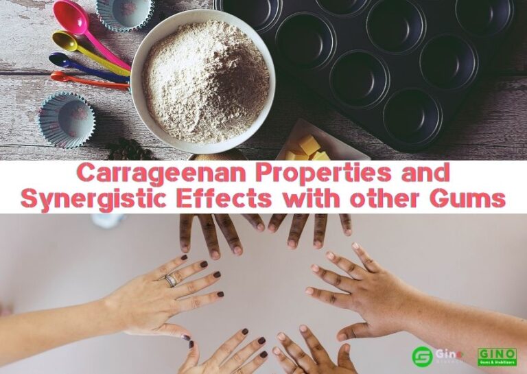 Carrageenan Properties and Synergistic Effects with other Gums