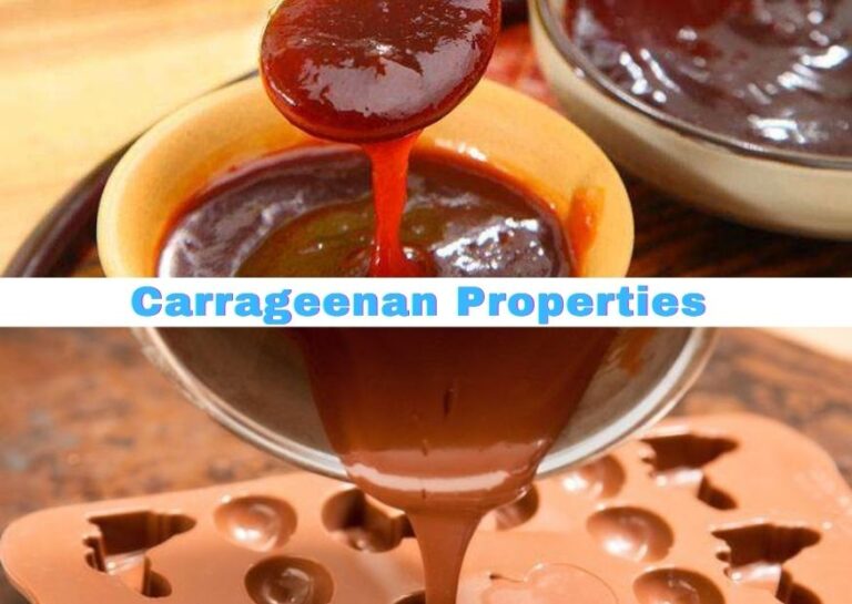 Carrageenan Properties and Synergistic Effects with other Gums