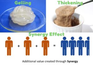 What are the Common Properties of Hydrocolloids?