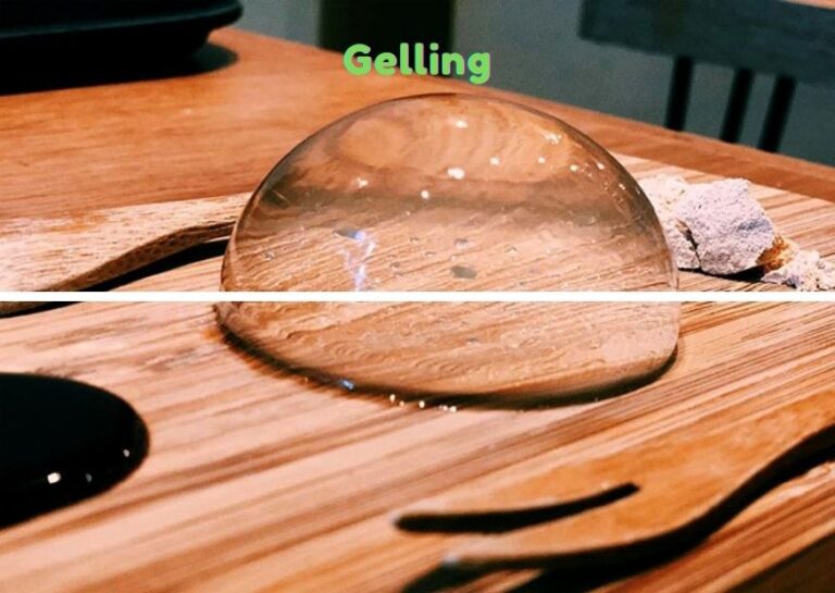 What are the Common Properties of Hydrocolloids?