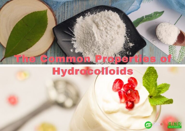 What are the Common Properties of Hydrocolloids?