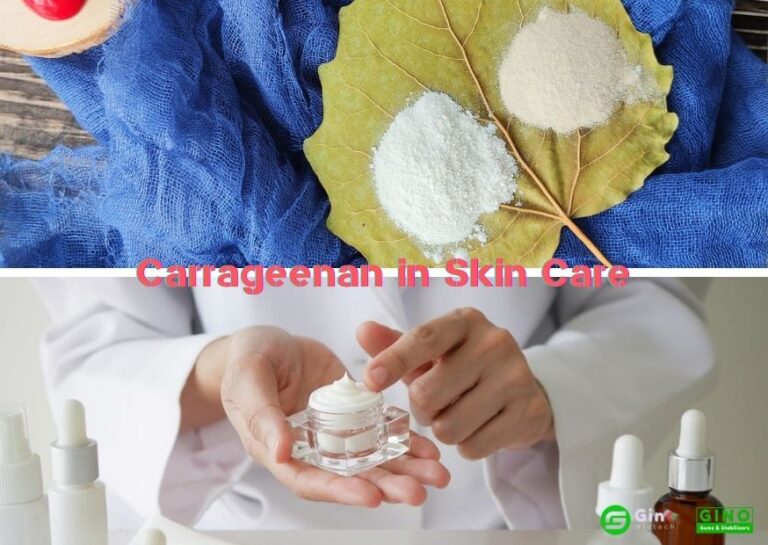 Carrageenan Properties and Synergistic Effects with other Gums