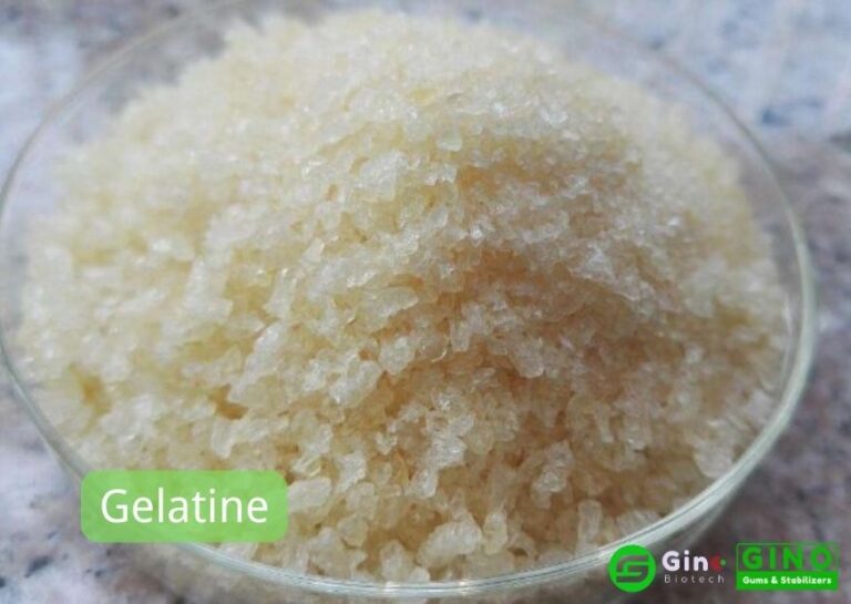 What are the Most Commonly Used Edible Gums in Meat Products? 7 Meat ...