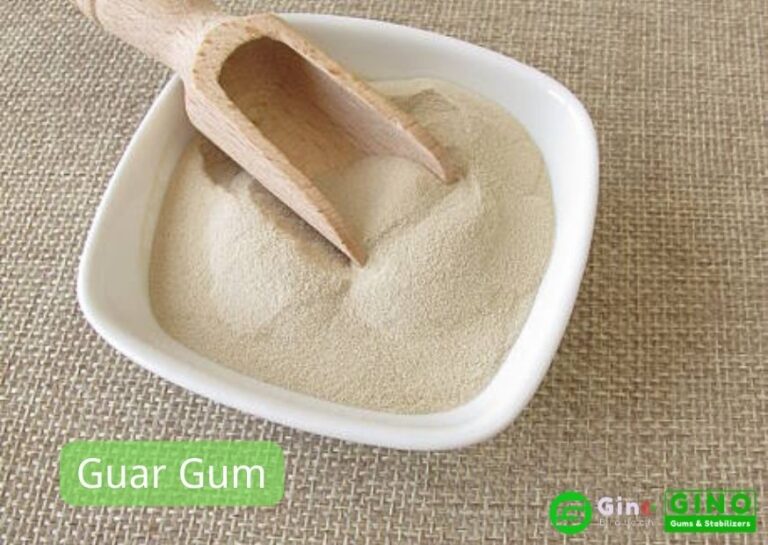 What are the Most Commonly Used Edible Gums in Meat Products? 7 Meat ...