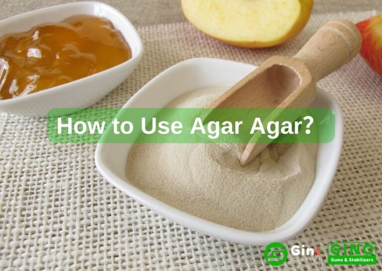 4 Top Guides on How to Use Agar Agar