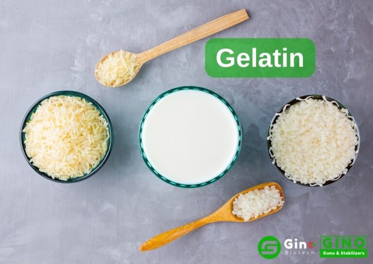 Hydrocolloid Sources and Roles | 6 Common Food Hydrocolloids