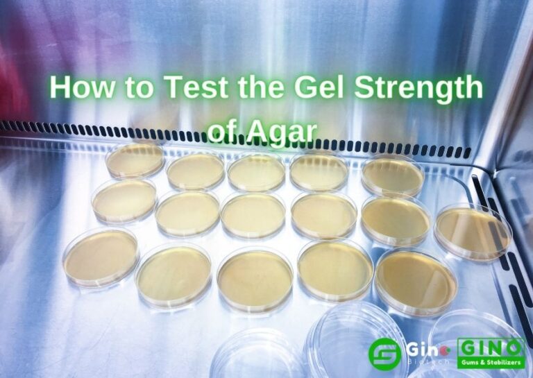 E406 Agar Gel Strength Test Method | How to Test Gel Strength of Agar