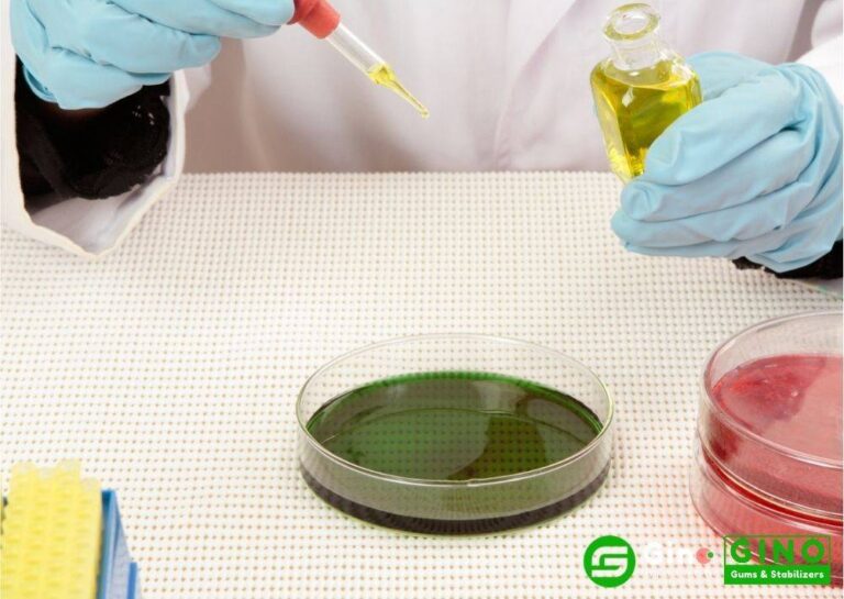 What is Agarose? A Comprehensive Guide for Beginners