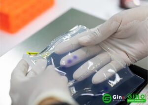 What is Agarose? A Comprehensive Guide for Beginners