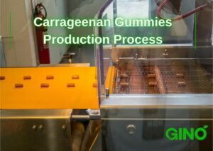 How to Make Gummies Without Gelatin: Embrace the Gelatin-Free Delights!