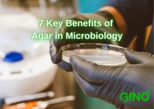 7 Key Benefits of Agar in Microbiology