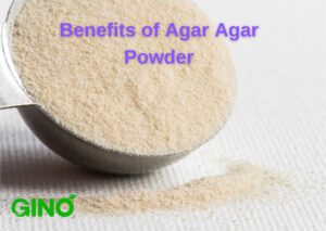 Agar Agar Powder Uses: Unlocking the Versatility
