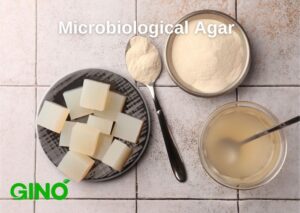 7 Key Benefits of Agar in Microbiology