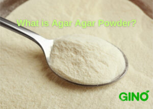 Agar Agar Powder Uses: Unlocking the Versatility