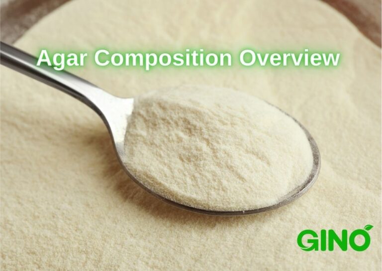 Agar Composition Overview: The Vegetarian Gelatin Alternative