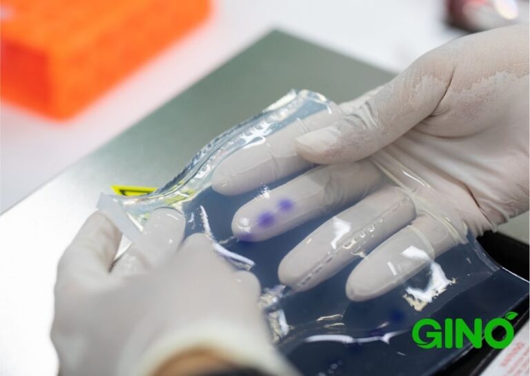 Agar Composition Overview: The Vegetarian Gelatin Alternative