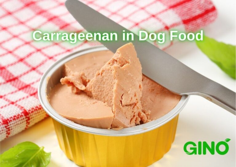 The Role of Carrageenan in Dog Food: Ensuring Quality and Consistency