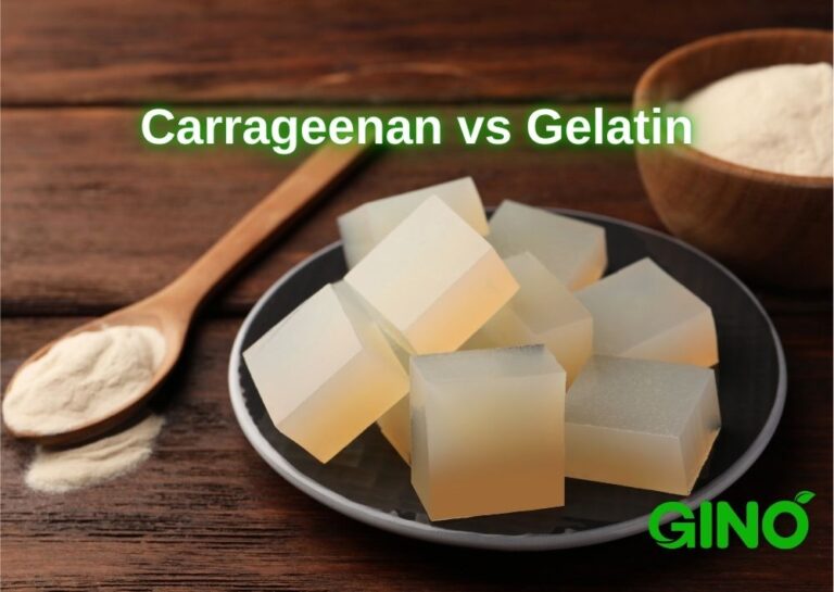Carrageenan vs Gelatin: Sources, Types, Properties, and Uses