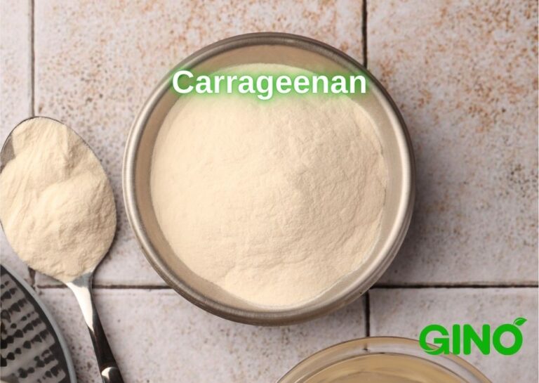 Carragenina frente a gelatina: fuentes, tipos, propiedades y usos