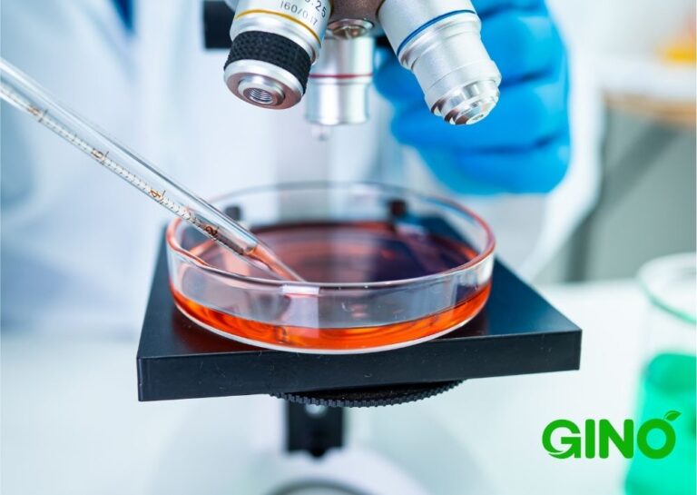 What Is Agar and Why Is It Used in Microbiology?