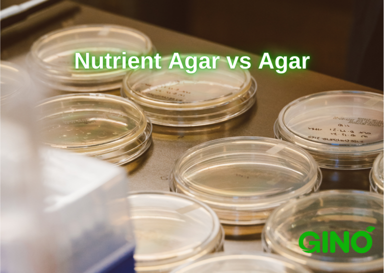 Nutrient Agar vs Agar: Key Differences, Uses, and Why It Matters