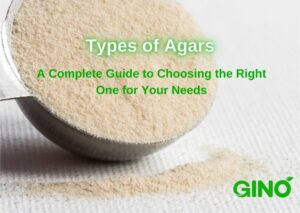 Types of Agars: A Complete Guide to Choosing the Right One for Your Needs