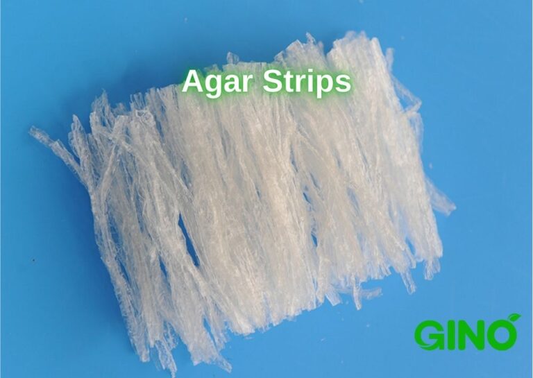 Types of Agars: A Complete Guide to Choosing the Right One for Your Needs