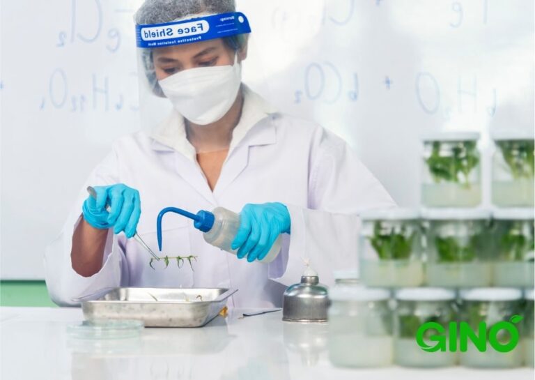 Agar Media Preparation: A Step-by-Step Guide for Optimal Results